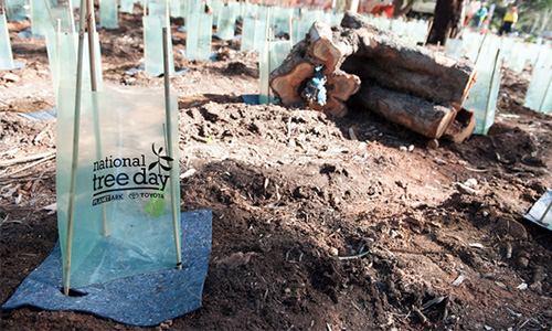 Community Sponsorship | CMI Toyota