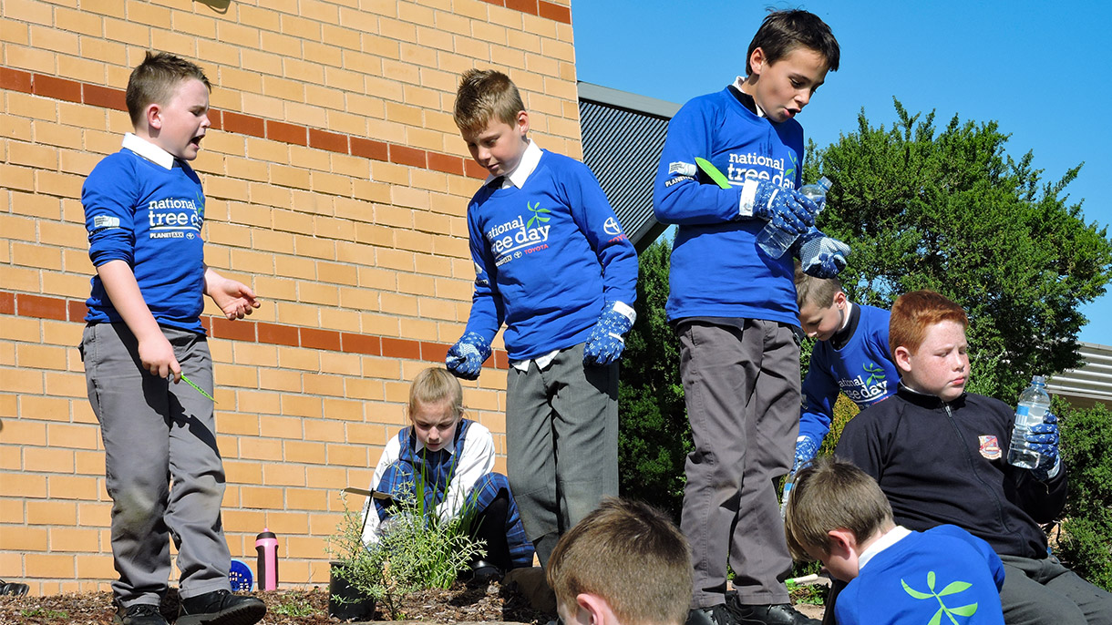Schools Tree Day 2018 | CMI Toyota